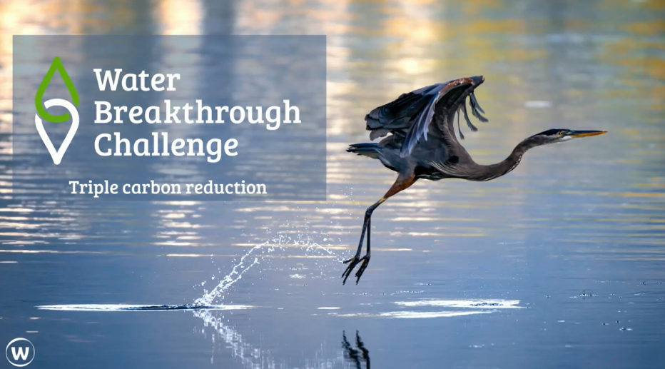 Triple Carbon Reduction Innovation Project | Jacobs